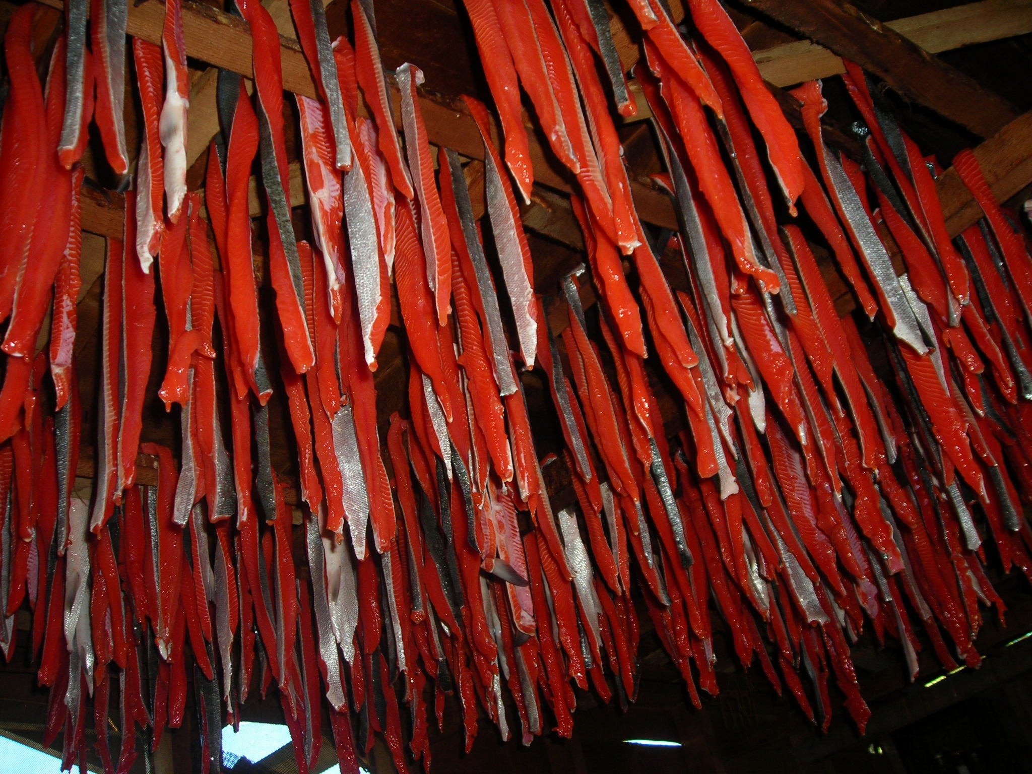 About Nanwalek | Nanwalek History